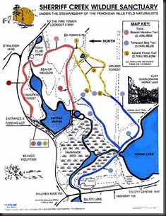 Canadianladybug Reviews!: What to do in Elliot Lake, ON?